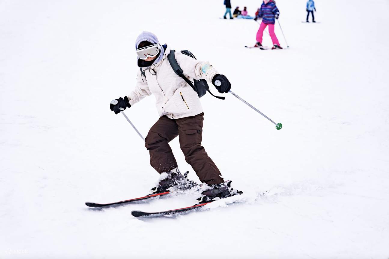 [Khusus Musim Dingin] Kobe Rokkosan Snow Park Ski/Snow Playing Day Tour ...